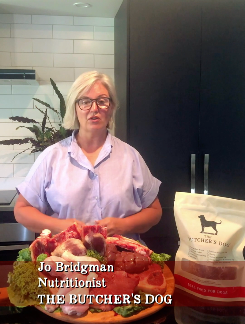 The Butcher's Dog | Why Raw dog food?
